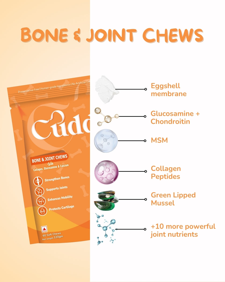 Hip & Joint – Cuddl